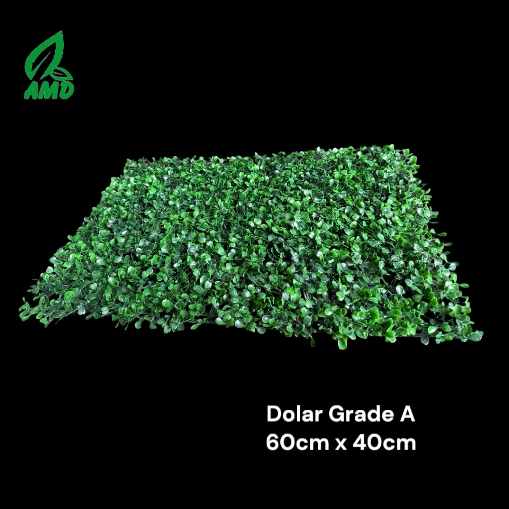 Jual Rumput dolar vertical garden kualitas premium | Shopee Indonesia