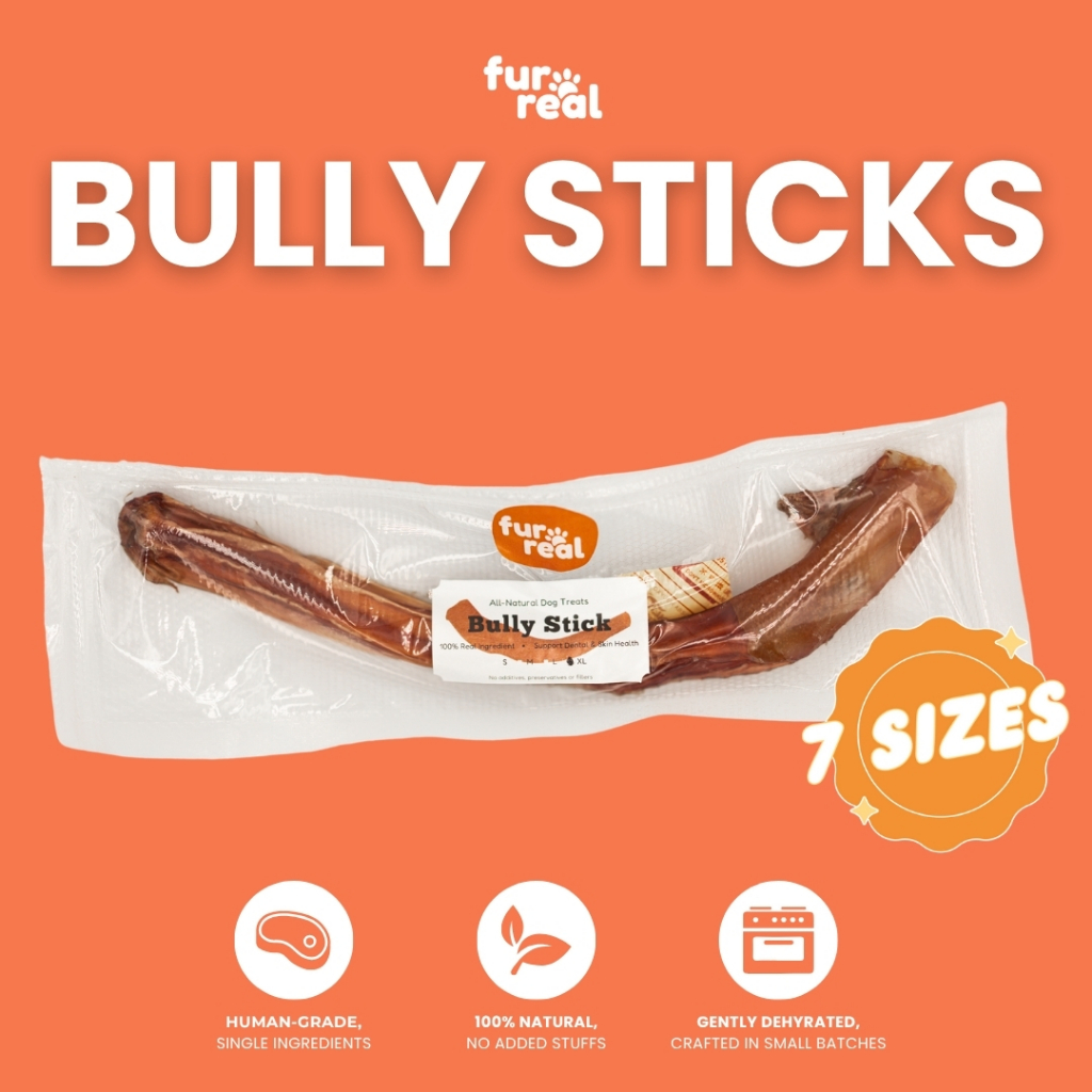 Jual FURREAL Bully Stick Dehydrated Dog Chew / Dog Treat / Snack Anjing ...
