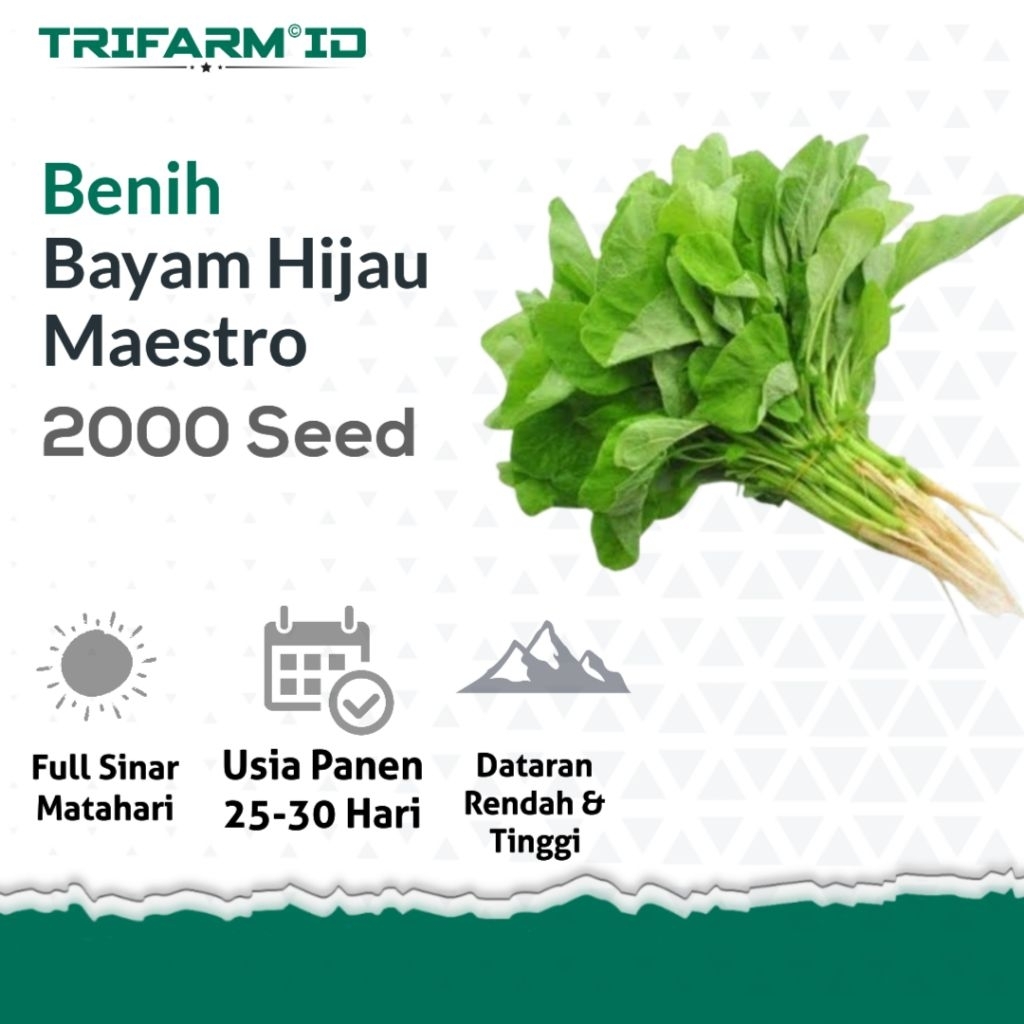 Jual TRIFARM 2000 Biji Benih Bibit Bayam Hijau Repack Kemasan Ziplock ...