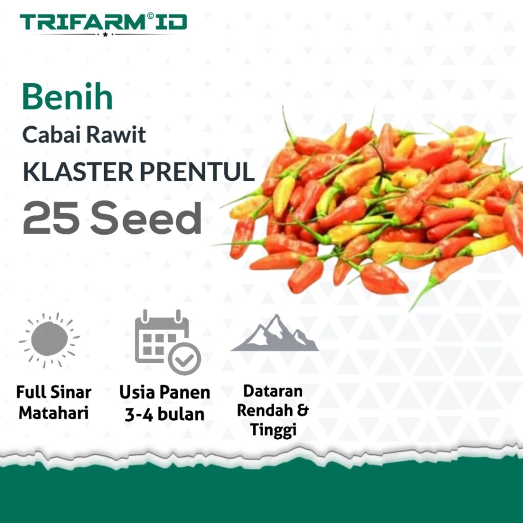 Jual TRIFARM Bibit Beni Cabai Cabe Rawit Klaster Prentul 25 Biji ...