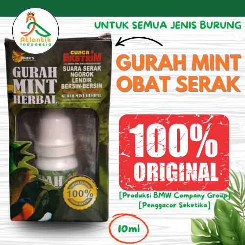 Jual BMW Gurah Mint 10ml Obat Serak pada burung Penggacor seketika ...