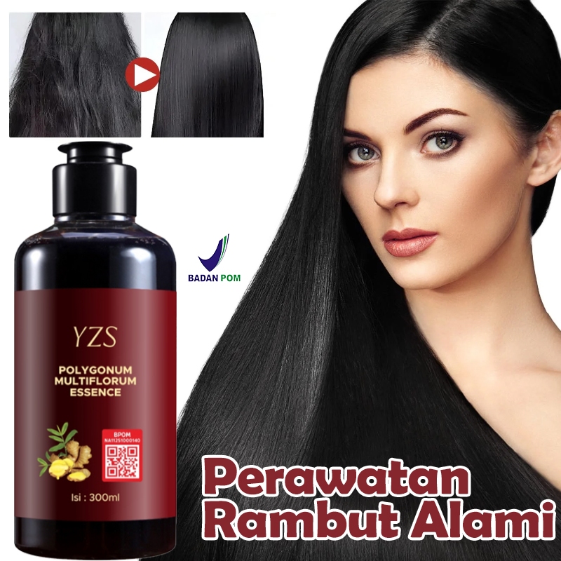 Jual YZS Shampoo Polygonum Multiflorum Essence 300ml Shampoo Uban ...