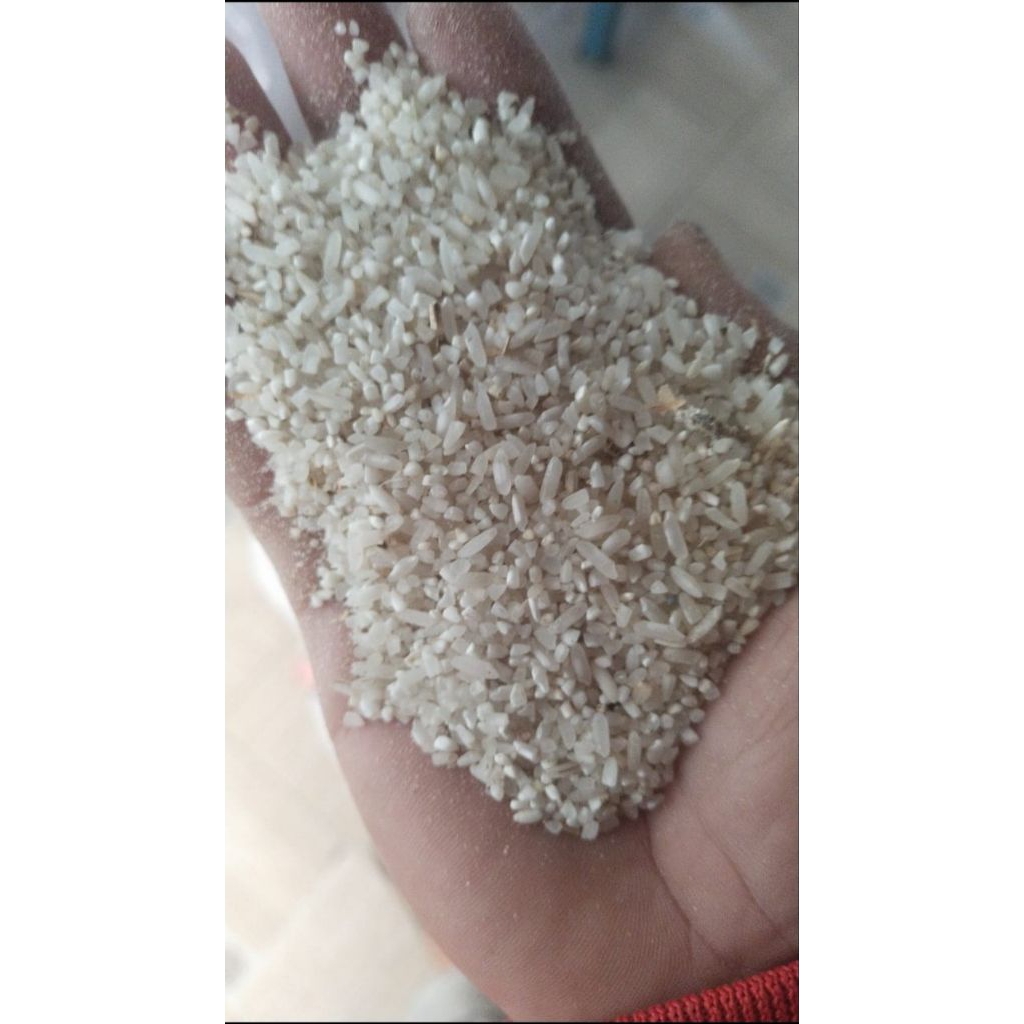 Jual beras menir/beras yg patah dan jagung kering murah | Shopee Indonesia