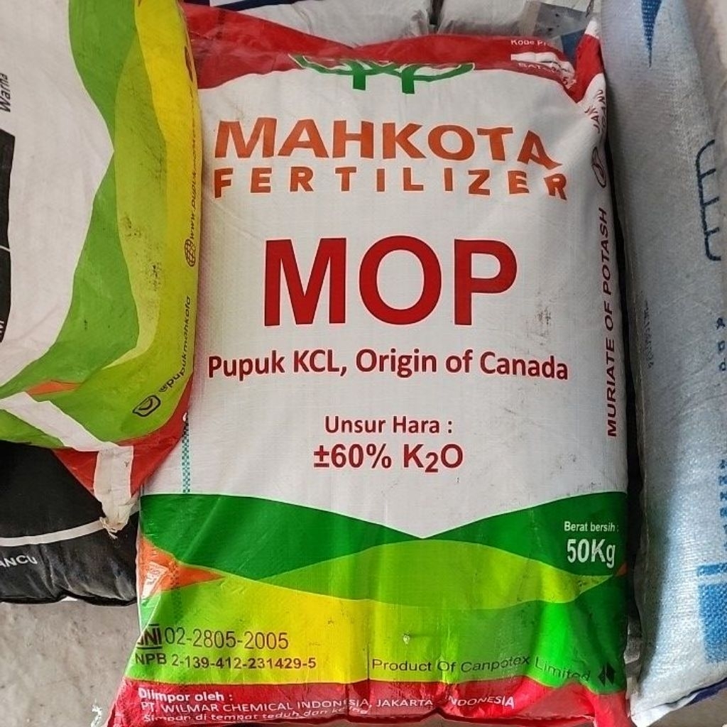 Jual MAHKOTA MOP / Pupuk KCL /Pupuk Kalium 60% dari mahkota 1kg Garansi ...