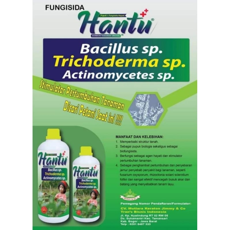 Jual Pupuk dan Fungisida Hayati Jimmy Hantu Trichoderma Bacillus sp ...