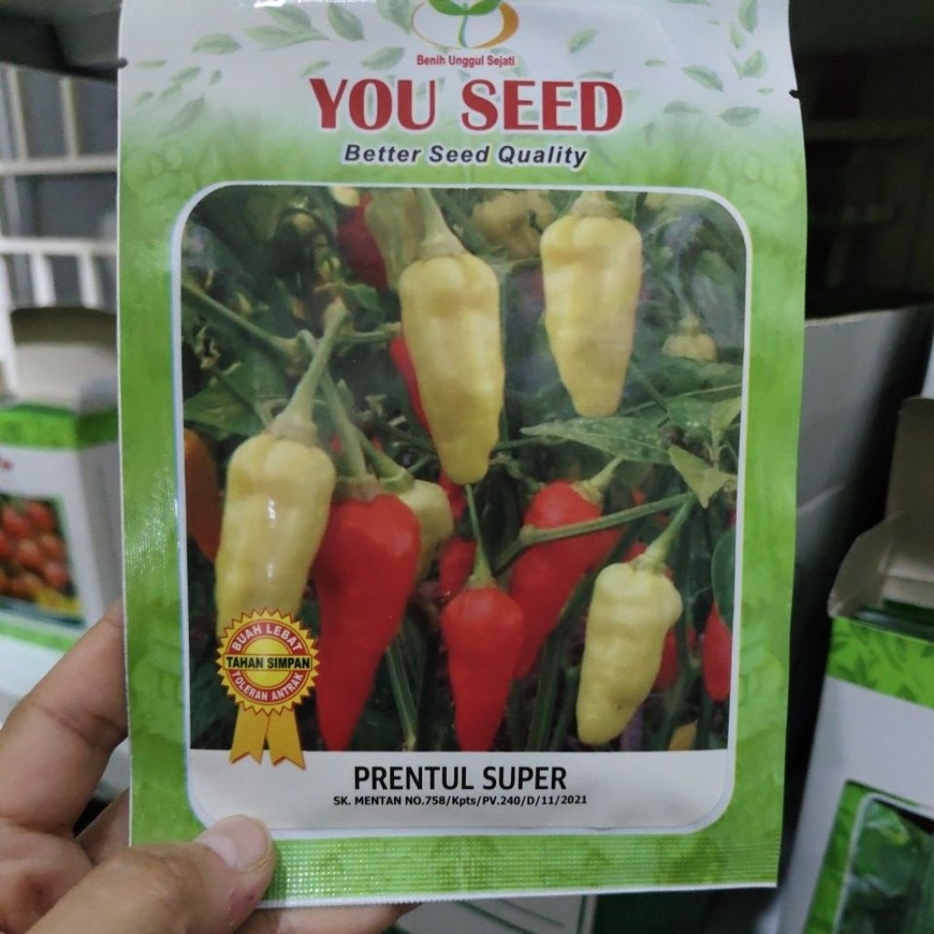 Jual Benih cabe rawit PRENTUL SUPER 10 gram dari you seed | Shopee ...