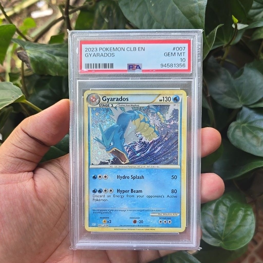 Jual Kartu Pokemon SLAB PSA 10 Gyarados Bahasa Inggris Pokemon TCG ...