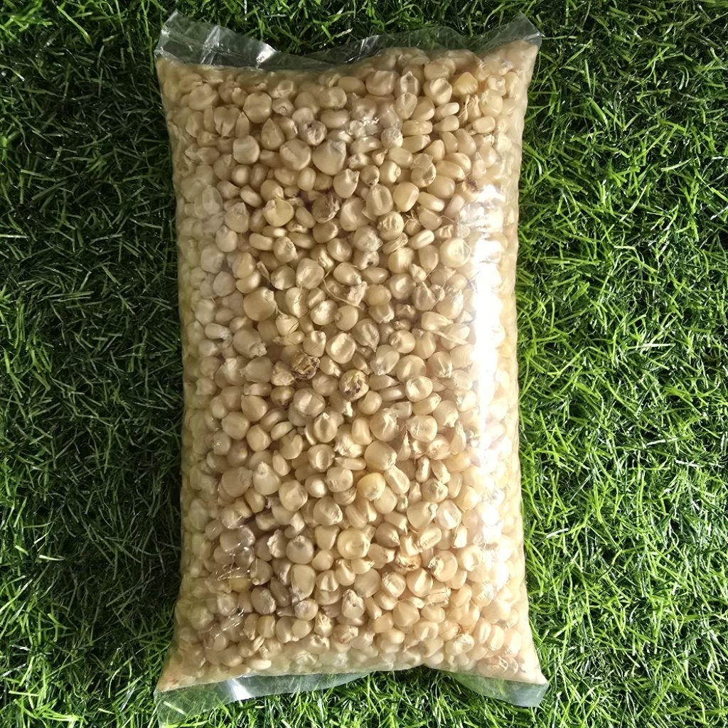 Jual Jagung Putih Pipil Kering 1 Kg | Shopee Indonesia