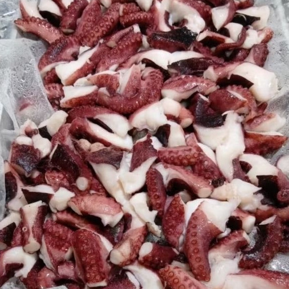 Jual Tako Leg Cut 1 kg | Tako cut gurita potong isian takoyaki 1kg ...