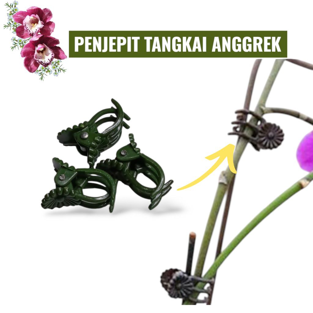 Jual KLIP PENJEPIT BUNGA / TANGKAI ANGGREK | Shopee Indonesia