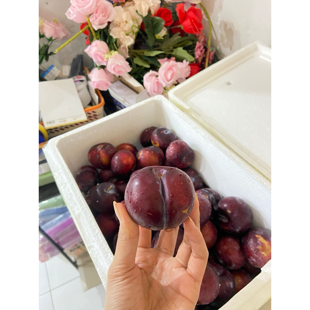 Jual plum buah / pack 500 g | Shopee Indonesia