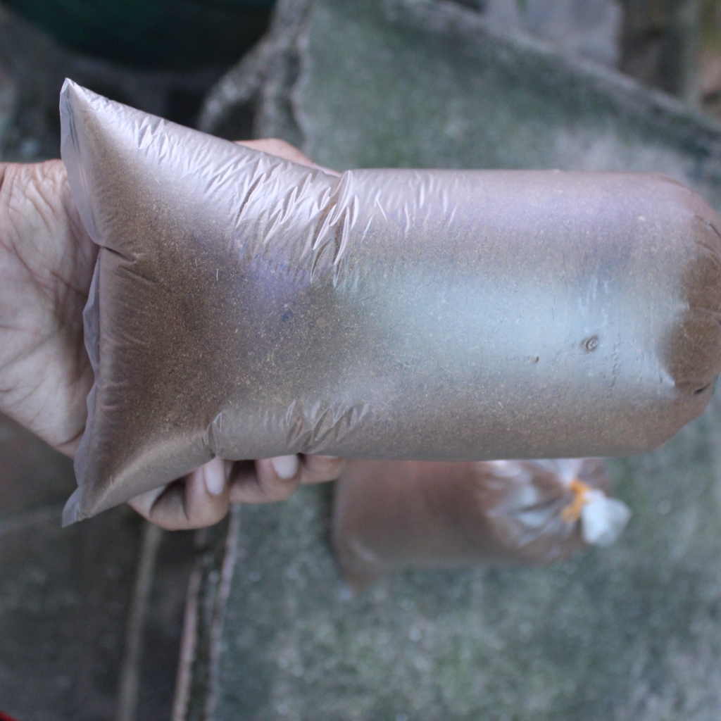 Jual Cocopeat Media Tanam 1 liter 2kg plastik | Shopee Indonesia