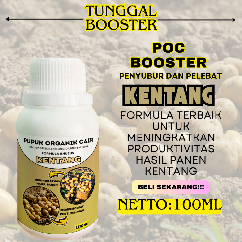 Jual Pupuk Organik Cair Tanaman Kentang/Pupuk Melebatkan kentang/pupuk ...