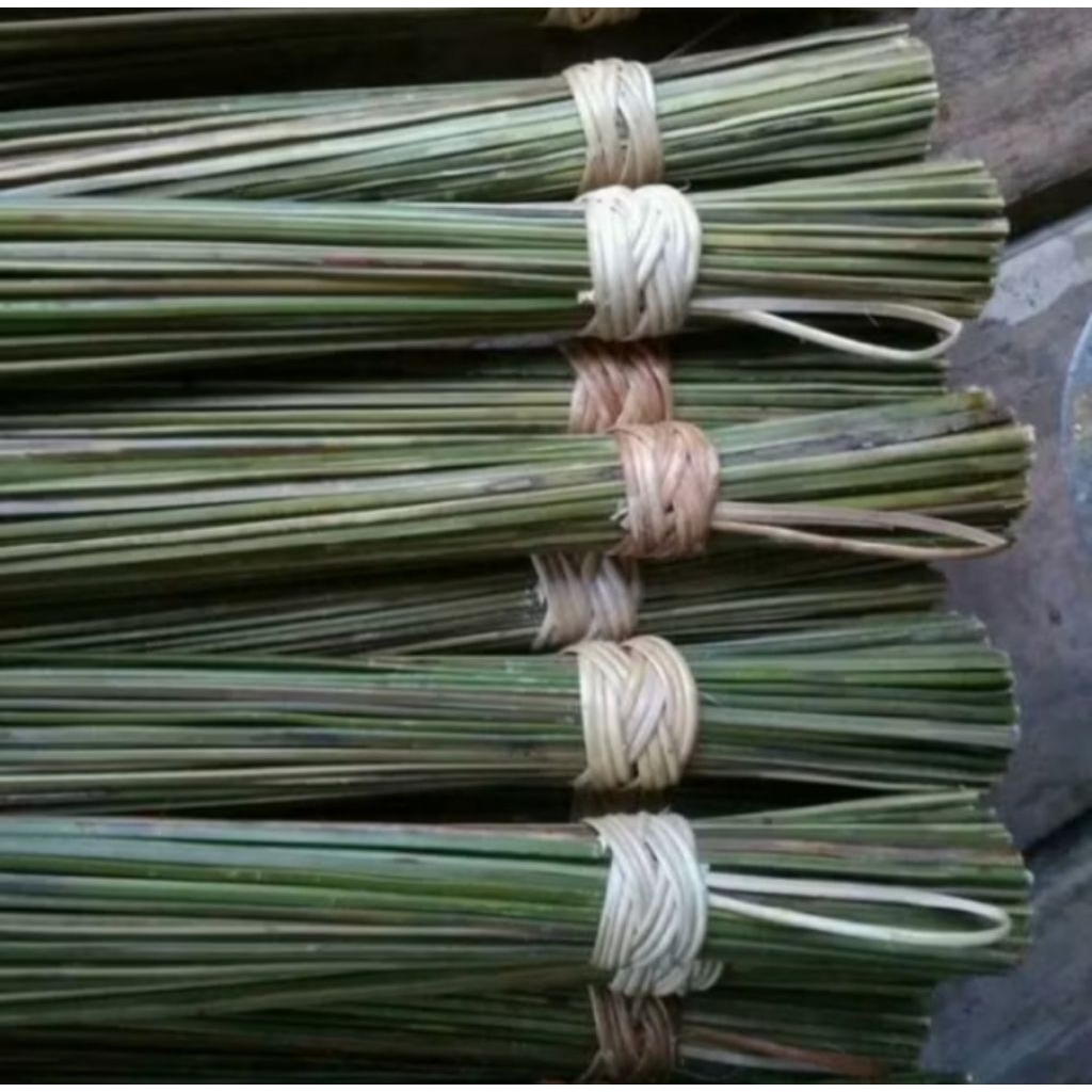 Jual Sapu Lidi Aren Asli Pengusir Roh Jahat Sangat Ampuh Isi 60 sangat ...
