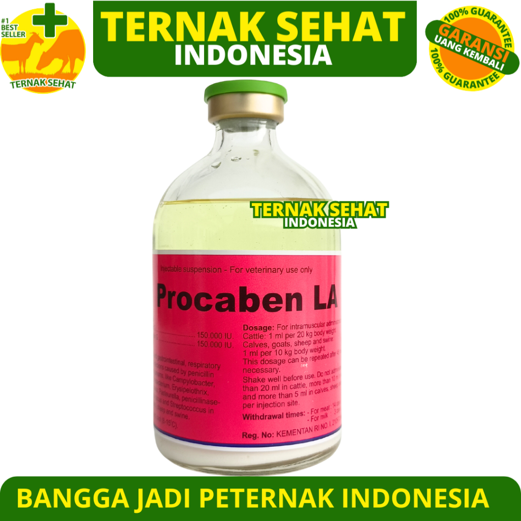 Jual PROCABEN LA 100ML - Obat Infeksi Saluran Pernafasan & Pencernaan ...