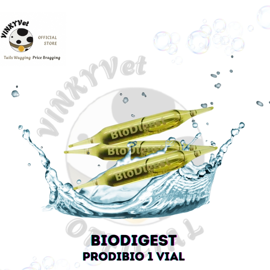 Jual Biodigest Prodibio 1 Vial Ampul Living Bacteria Bakteri Starter | Shopee Indonesia