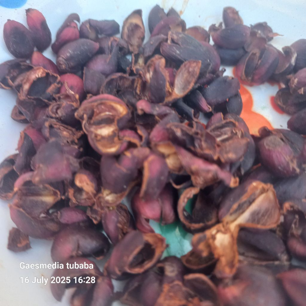 Jual Teh Cascara (Kulit Kopi Kering) Kemasan 5 Gram | Shopee Indonesia