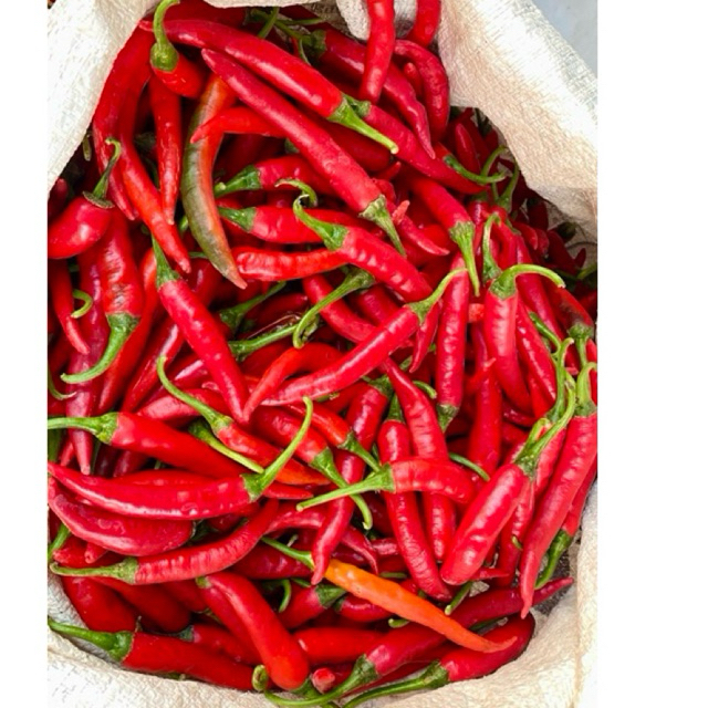 Jual CABE MERAH BESAR 1kg Cabe Merah Besar Imperial Super 1 Kg Cabe ...