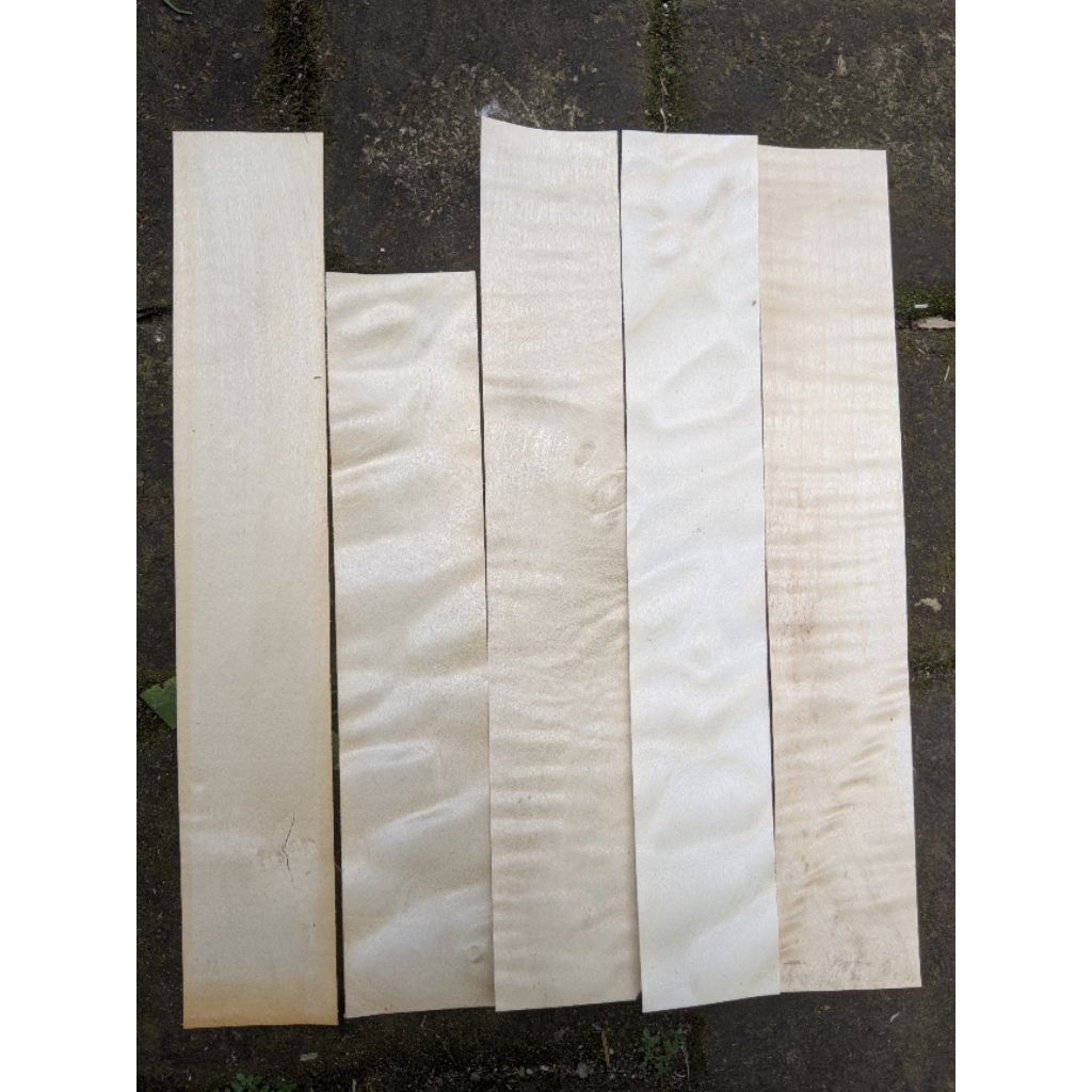 Jual veneer kayu hard maple canada 0,45 x 4 x 10-24 cm | Shopee Indonesia