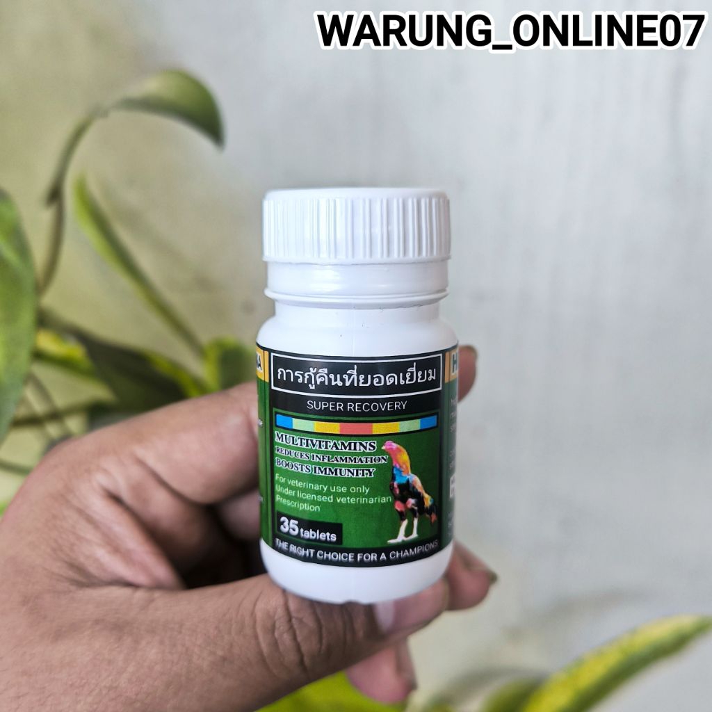 Jual Kamlang Kering Luka Dalam Kamlang Super Recovery 35 Tablet - 3x Lebih Efektif Meredakan ...
