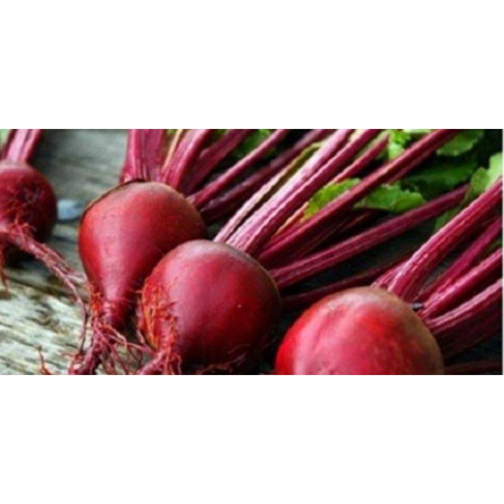 Jual bitroot 1kg | Shopee Indonesia