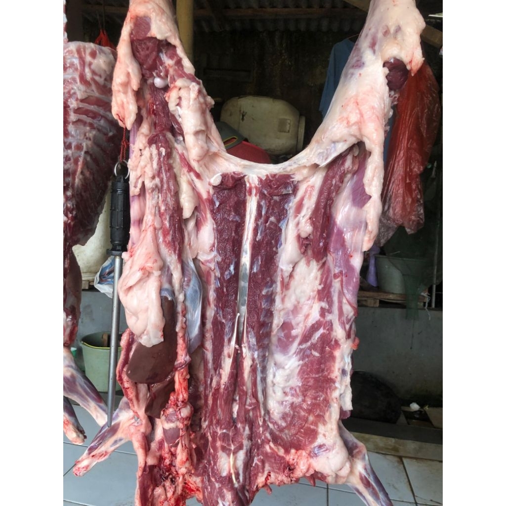 Jual Daging Kambing Muda PREMIUM - Fresh Lokal Hasil Penggemukan 1 Kg ...