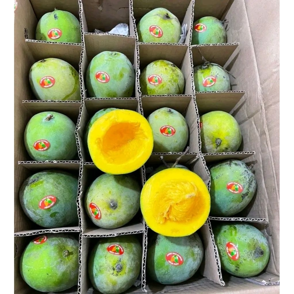Jual mangga alpukat fresh 1kg | Shopee Indonesia