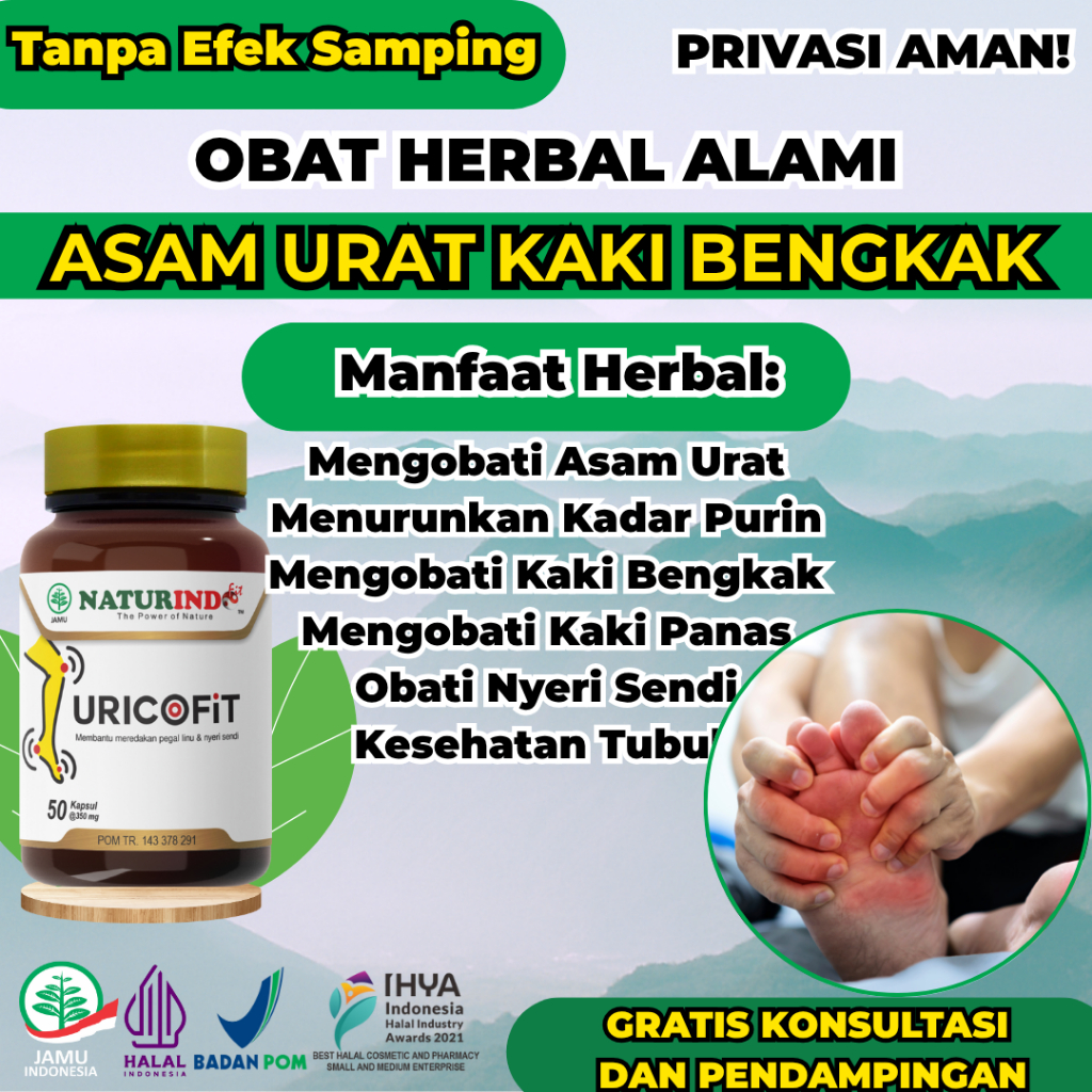 Jual Obat Asam Urat Kaki Bengkak dan Panas Ampuh Herbal Asem Urat ...