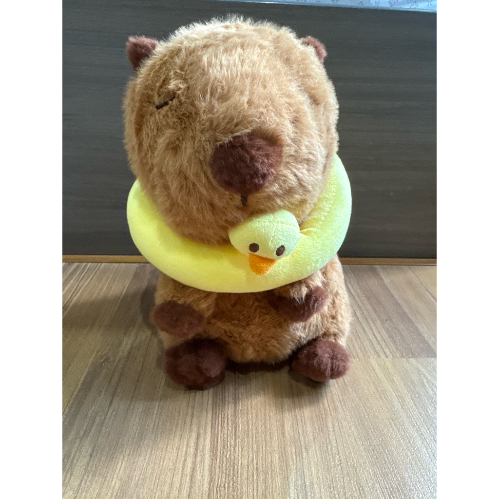 Jual preloved boneka capybara licensed miniso | Shopee Indonesia