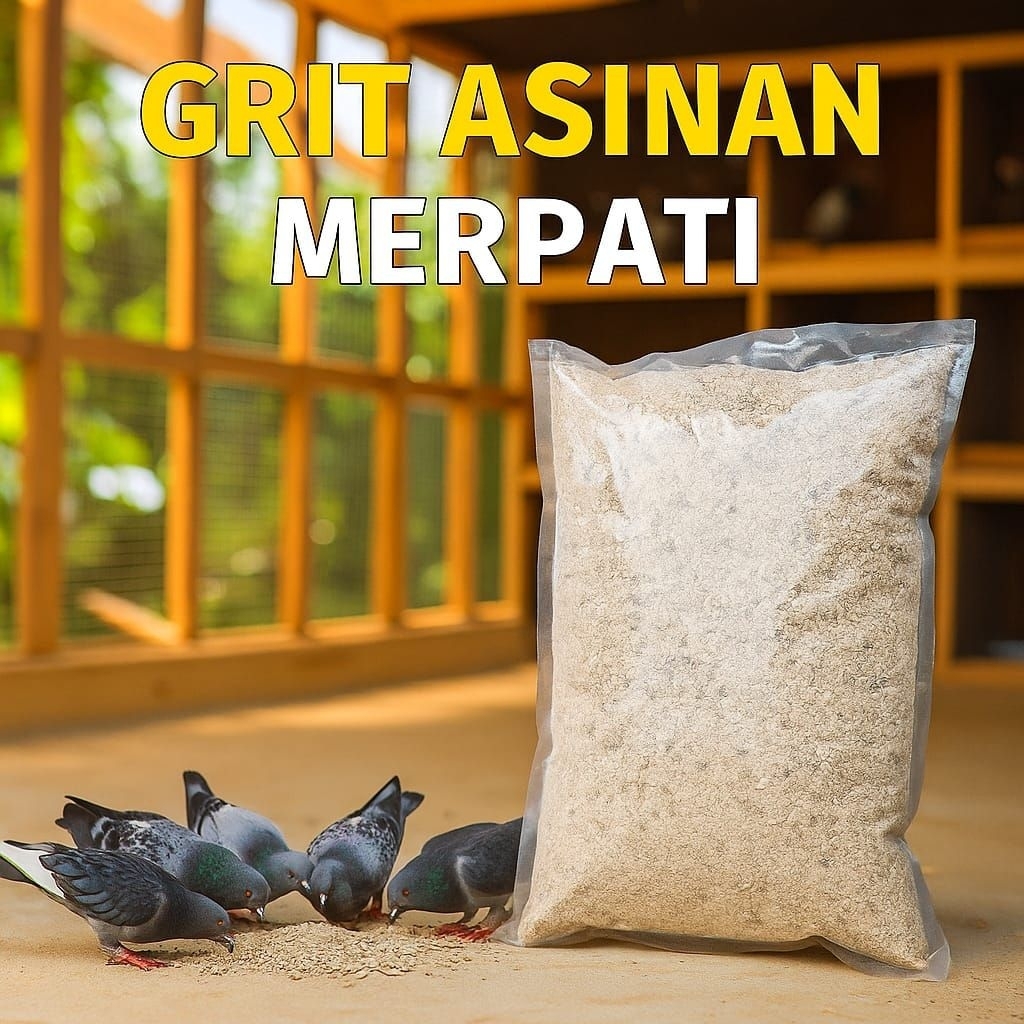 Jual GRIT ASINAN KERANG REMISAN KECIL PREMIUM MURNI 1KG | Shopee Indonesia