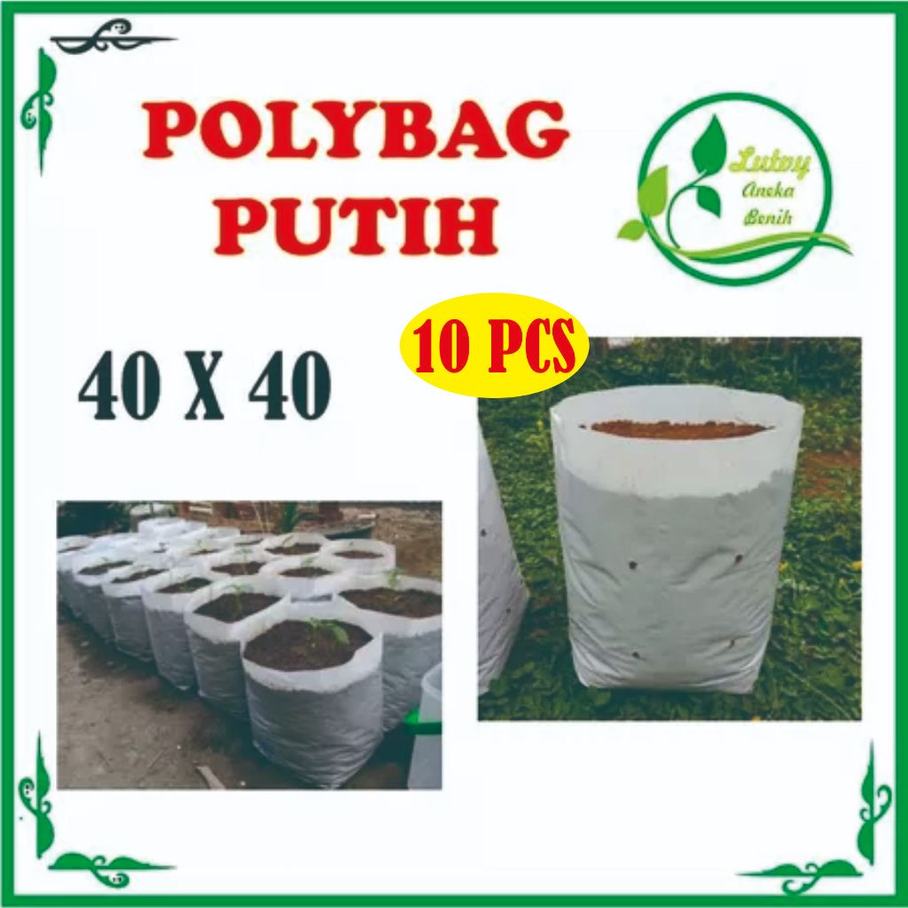 Jual (10 PCS) POLYBAG PUTIH UKURAN 40 X 40 | Shopee Indonesia