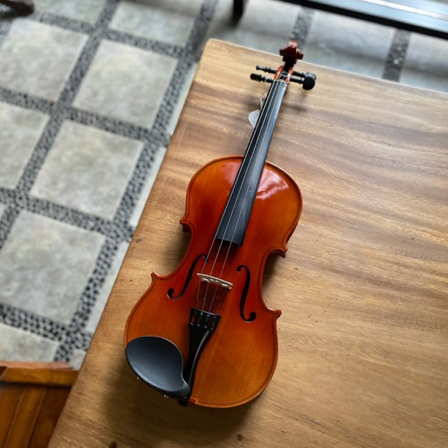 Jual Satu Set Biola / Violin Skylark MV005 4/4 | Shopee Indonesia