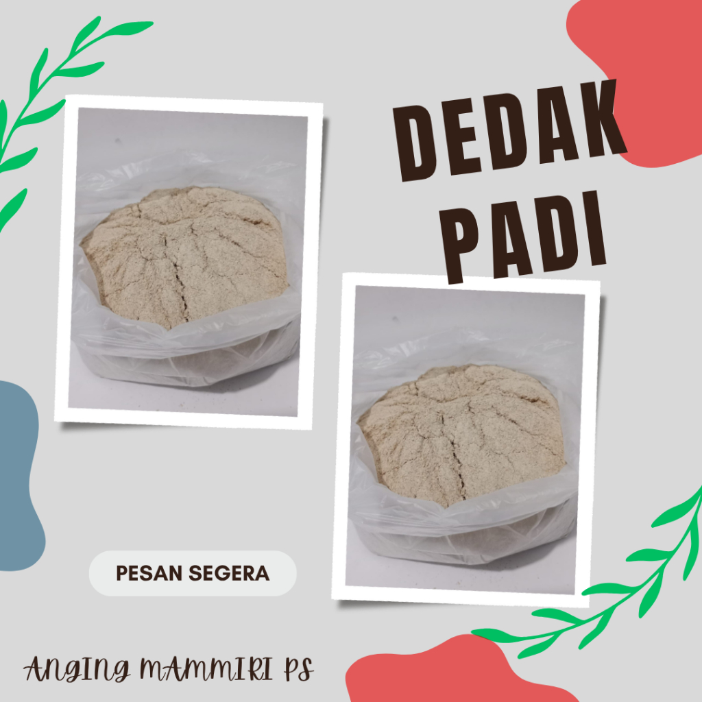 Jual DEDAK PADI - 1 Kg | Pakan kemasan untuk pakan ternak | Shopee ...