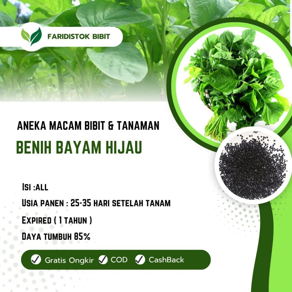 Jual 10 gram benih bayam cabut hijau (-+2000 biji ) | Shopee Indonesia