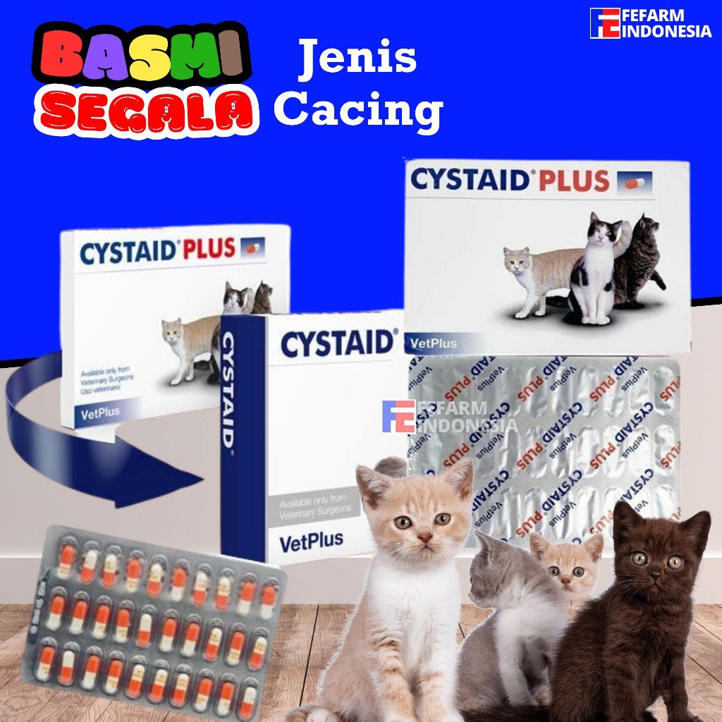 Jual CYSTAID PLUS VETPLUS-OBAT UNTUK MASALAH SALURAN KENCING-OBAT ...