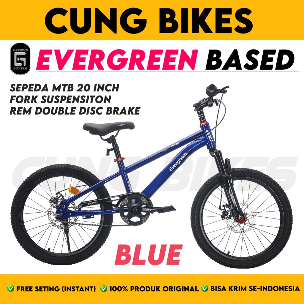 Jual Sepeda Gunung Anak MTB 20 inch Evergreen BASED R 520 Single Speed ...