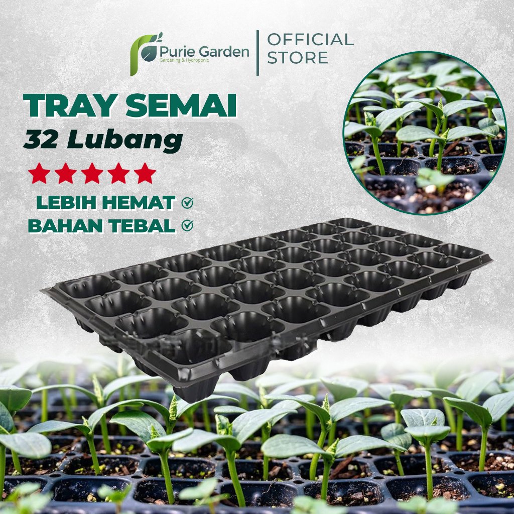 Jual Tray Semai 32 Lubang Pot Tray Penyemaian Bibit Tanaman Purie ...