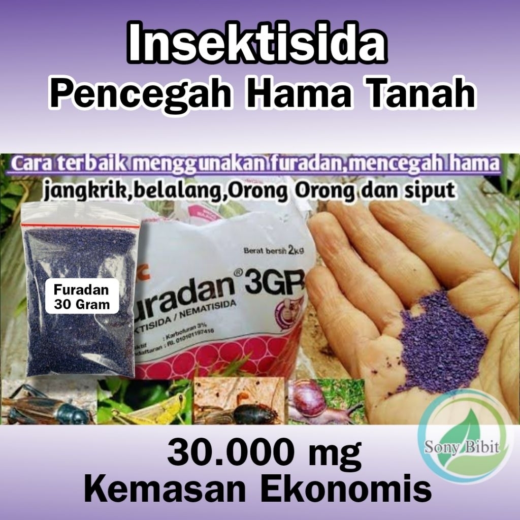 Jual Furadan 3 GR Insektisida Pencegah Hama Pada Tanah 30 Gram Kemasan ...