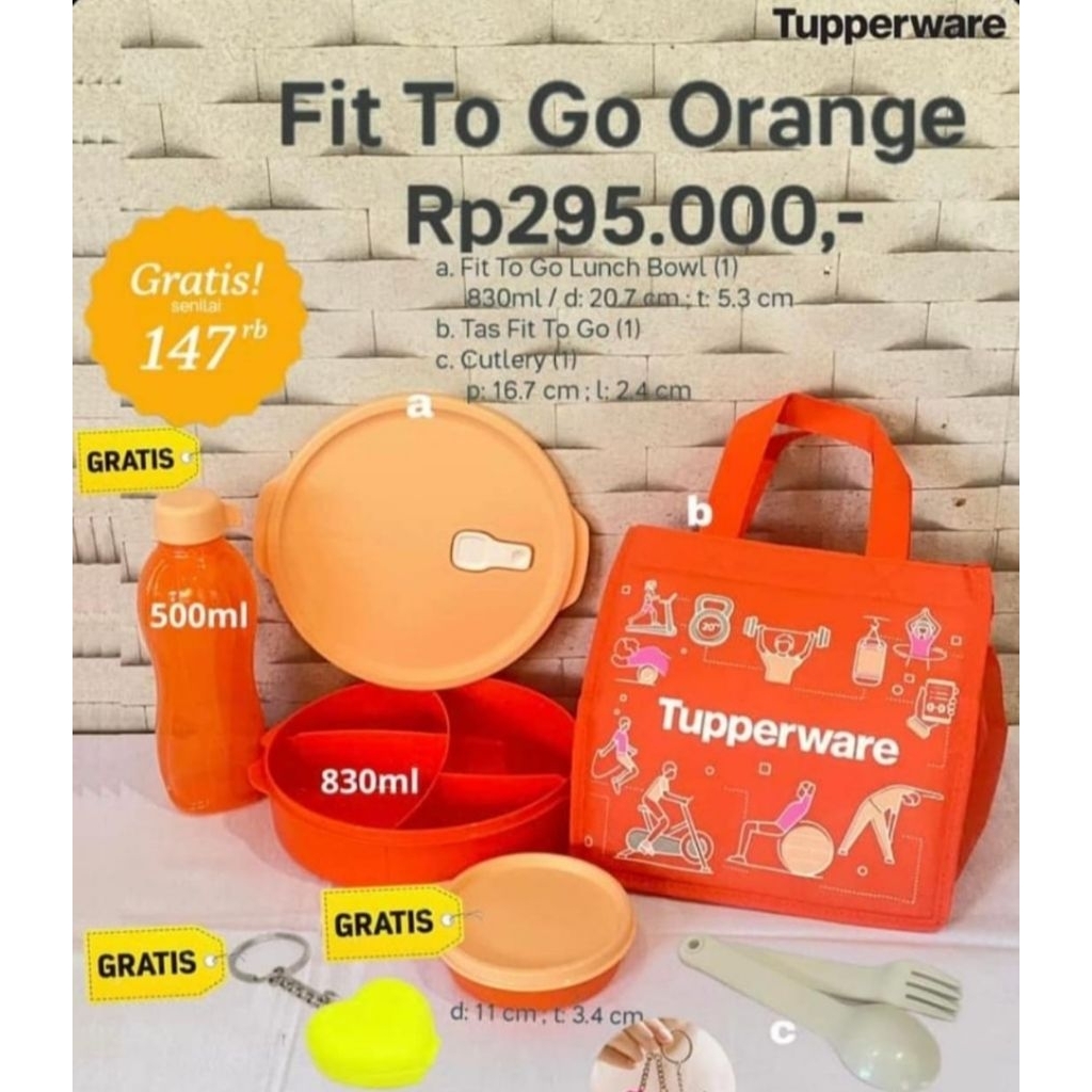 Jual Fit To Go lunch box set tupperware | Shopee Indonesia
