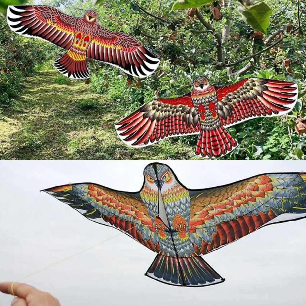 Jual layangan elang / garuda parasut lipat 1,2 s/d 2,5 meter | Shopee ...