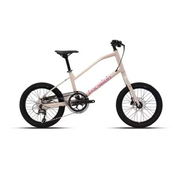 Jual Sepeda Minivelo 20 inch POLYGON ZETA VELO 1 x 10 sepeda minivelo ...