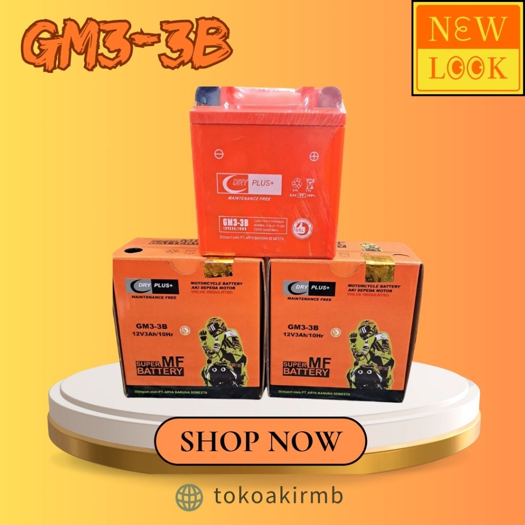 Jual GM3-3B aki motor Rx-King dan aki Ninja Rr (2 tak) murah Dry Plus+ 12 Volt/3 Ah aki bagus ...