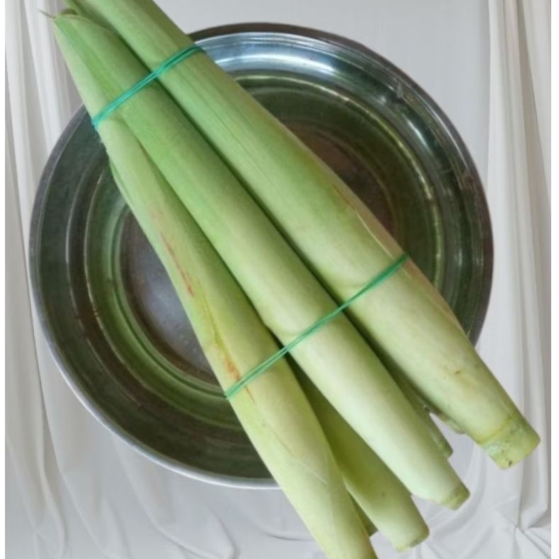 Jual Terubuk Telur Tebu, Terubuk Sayur Segar Fresh 1 Ikat Isi 5 pcs ...
