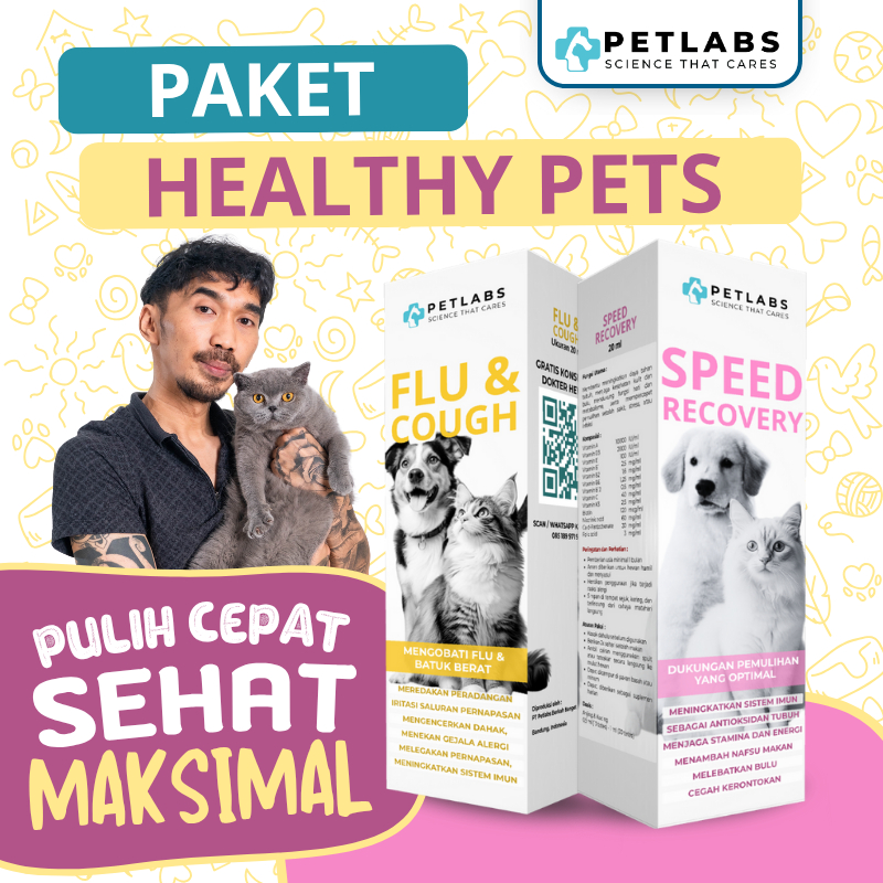 Jual PETLABS Pawtners Obat Flu And Cough & Speed Recovery Combo Hemat ...