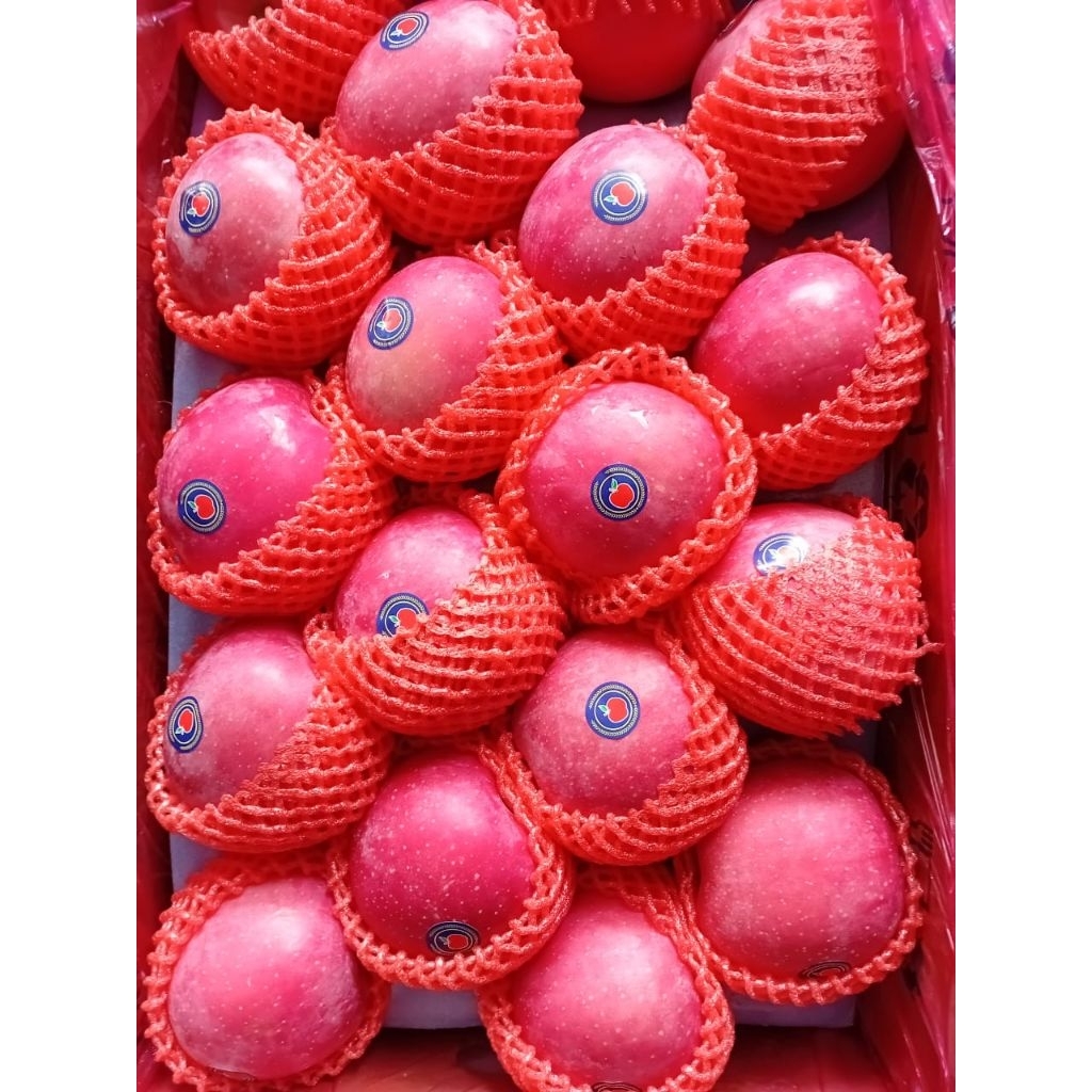 Jual APEL FUJI PREMIUM (1kg) | Shopee Indonesia