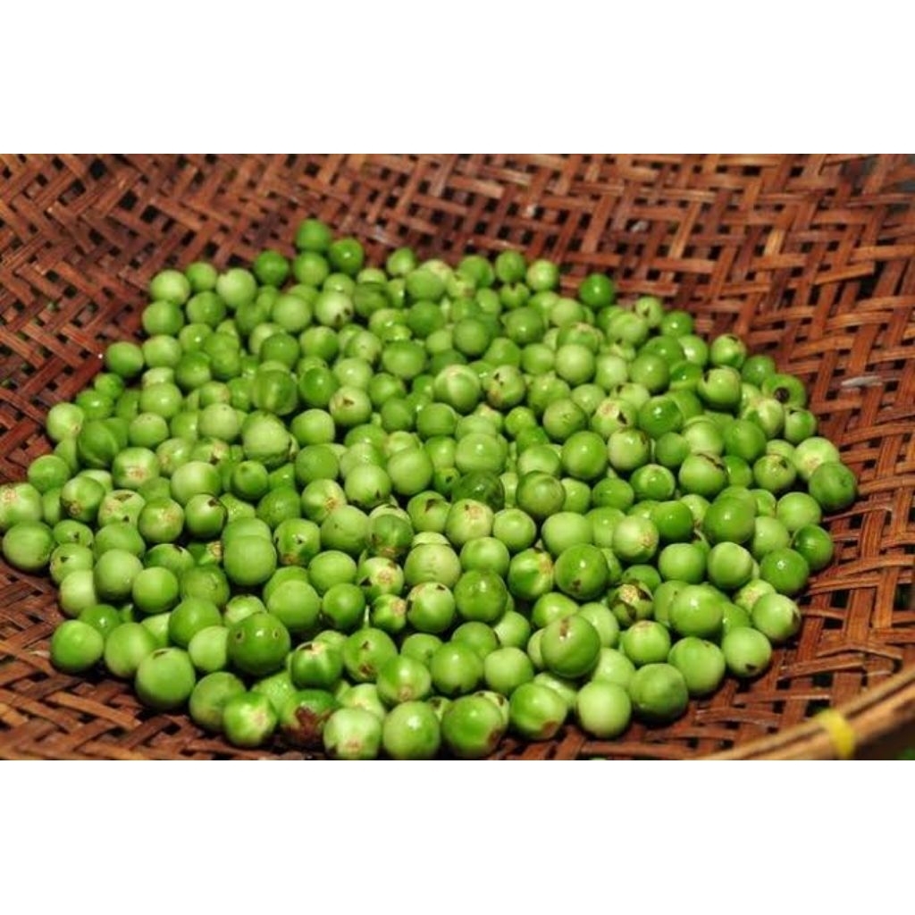 Jual Paket 500 grm buah cepokak atau tekokak segar terbaik langsung ...