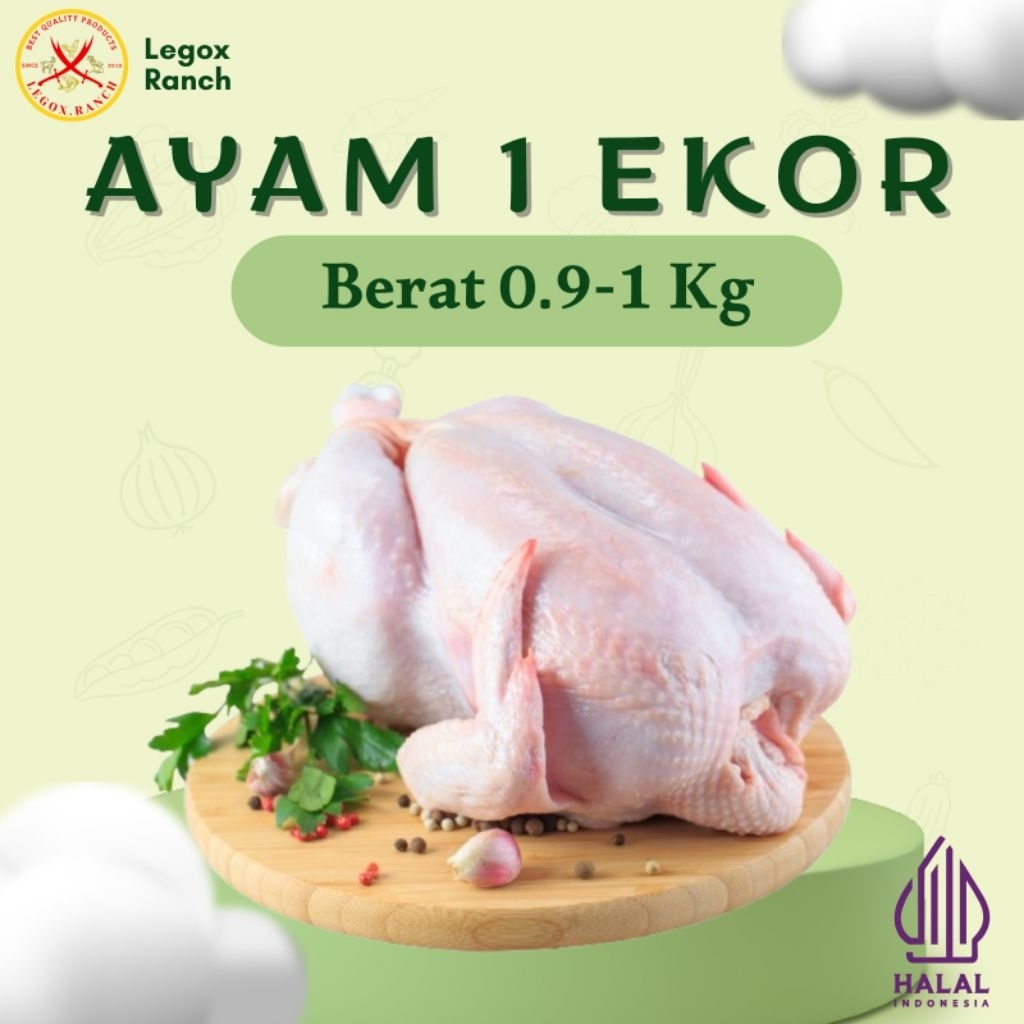 Jual Daging Ayam FRESH FROZEN Ukuran 0.9 - 1 Kg | Shopee Indonesia