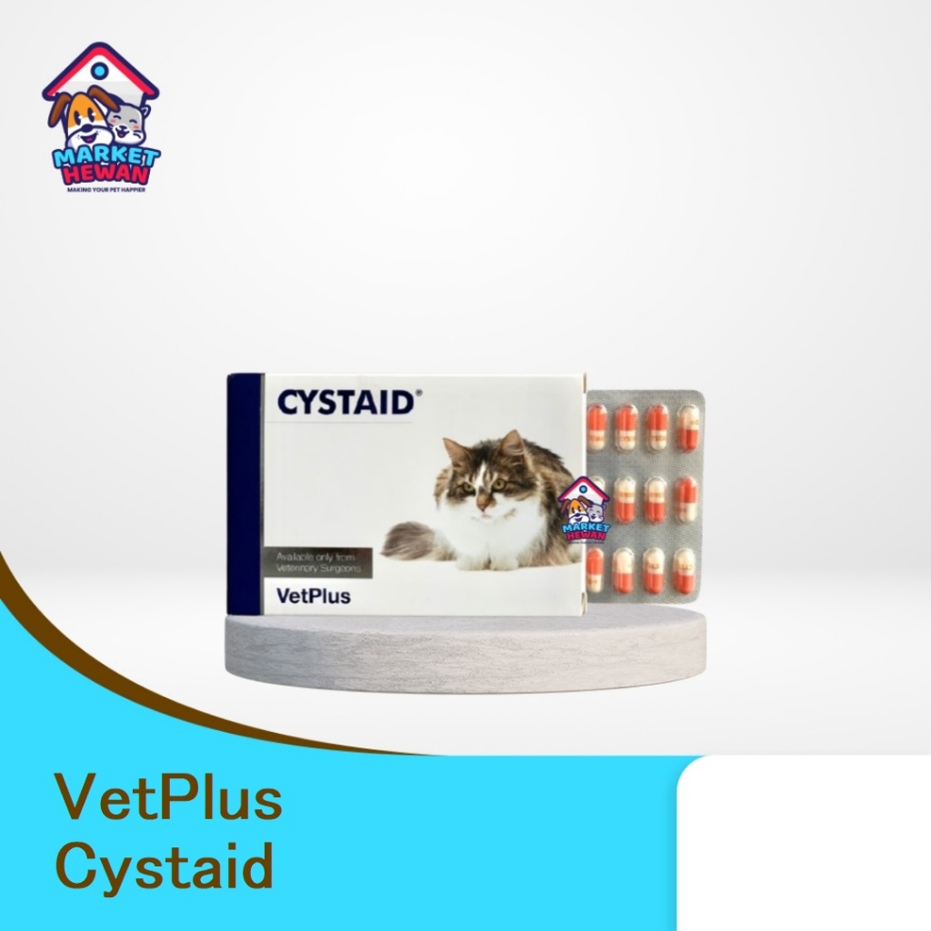 Jual CYSTAID PLUS ECER 1 KAPSUL - Obat Untuk Gangguan Kencing dan ...
