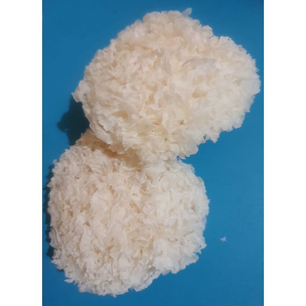 Jual jamur salju / jamur es bijian | Shopee Indonesia