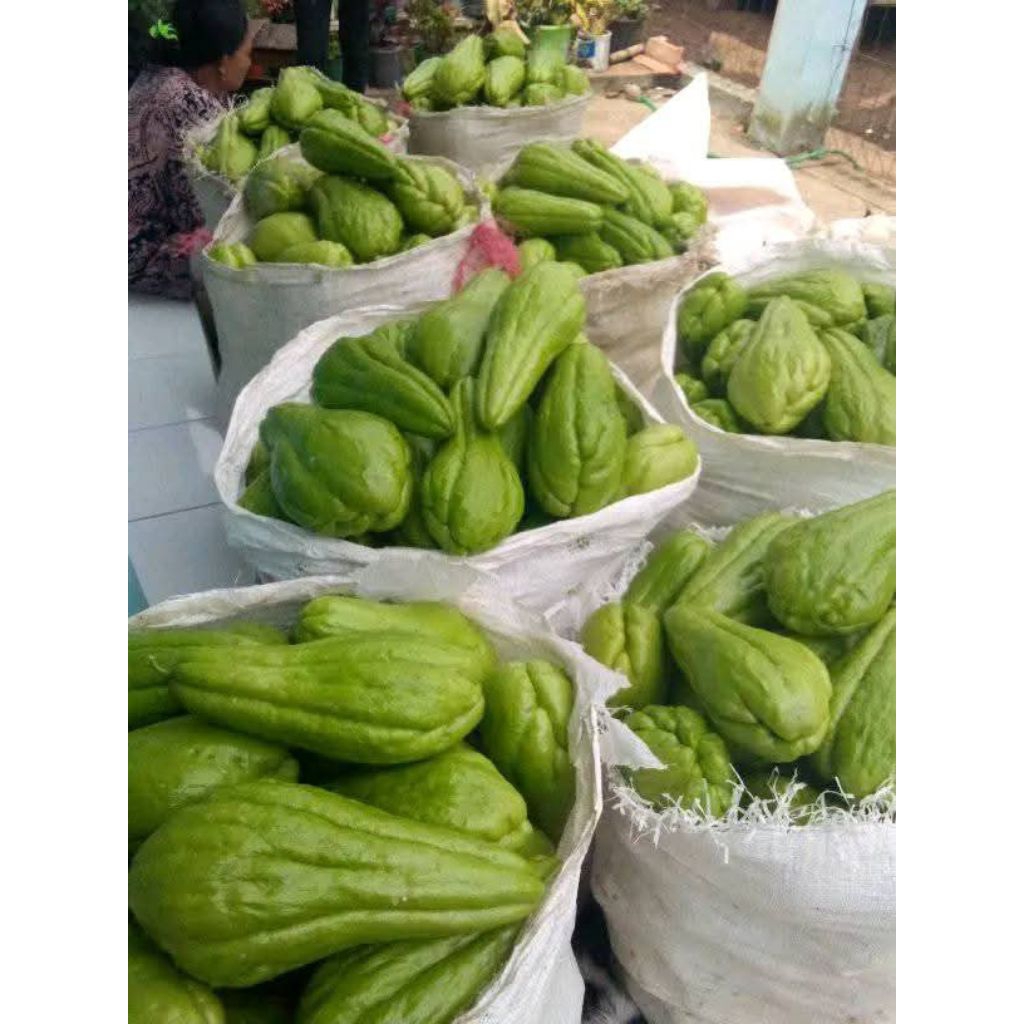 Jual Labu Siam /Waluh Cina Kualitas Terbaik /5 - 10 kg | Shopee Indonesia